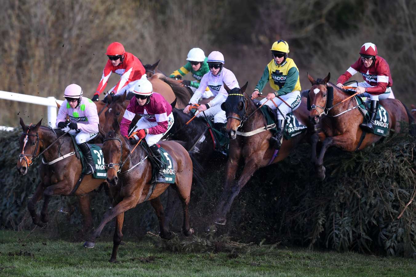 Grand National Odds, Key Statistics, Facts & Figures